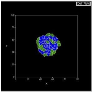 Cell Modeling in Jupyter Notebook using CompuCell3D - Micro Nano Technology Education Center