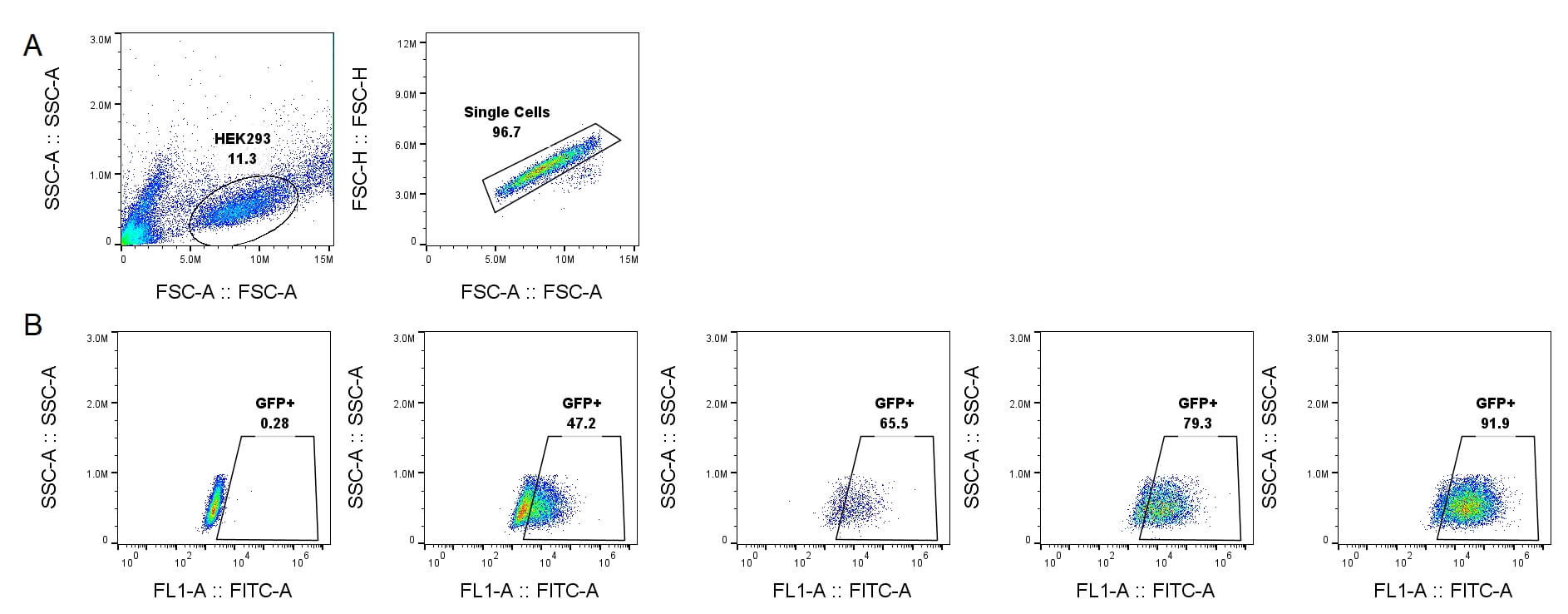 Flow Cytometry - A Specialized Analytical Skill for the Cell and Gene ...