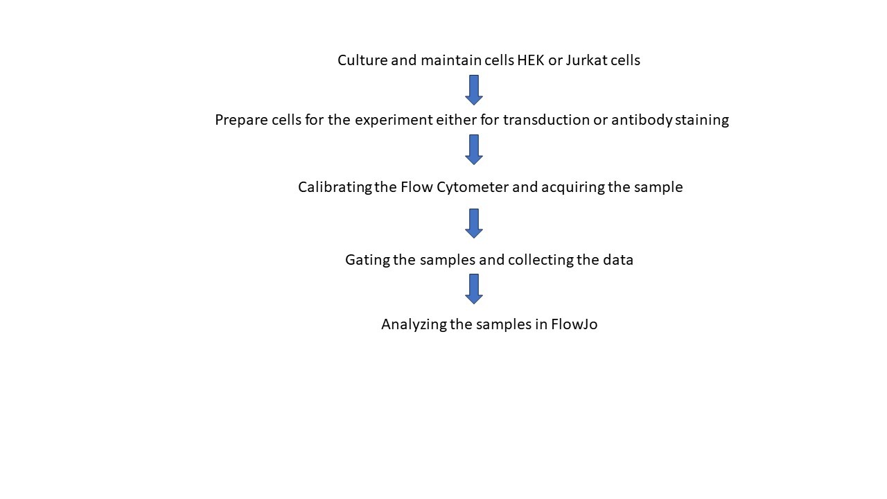 Flow Cytometry - A Specialized Analytical Skill for the Cell and Gene ...