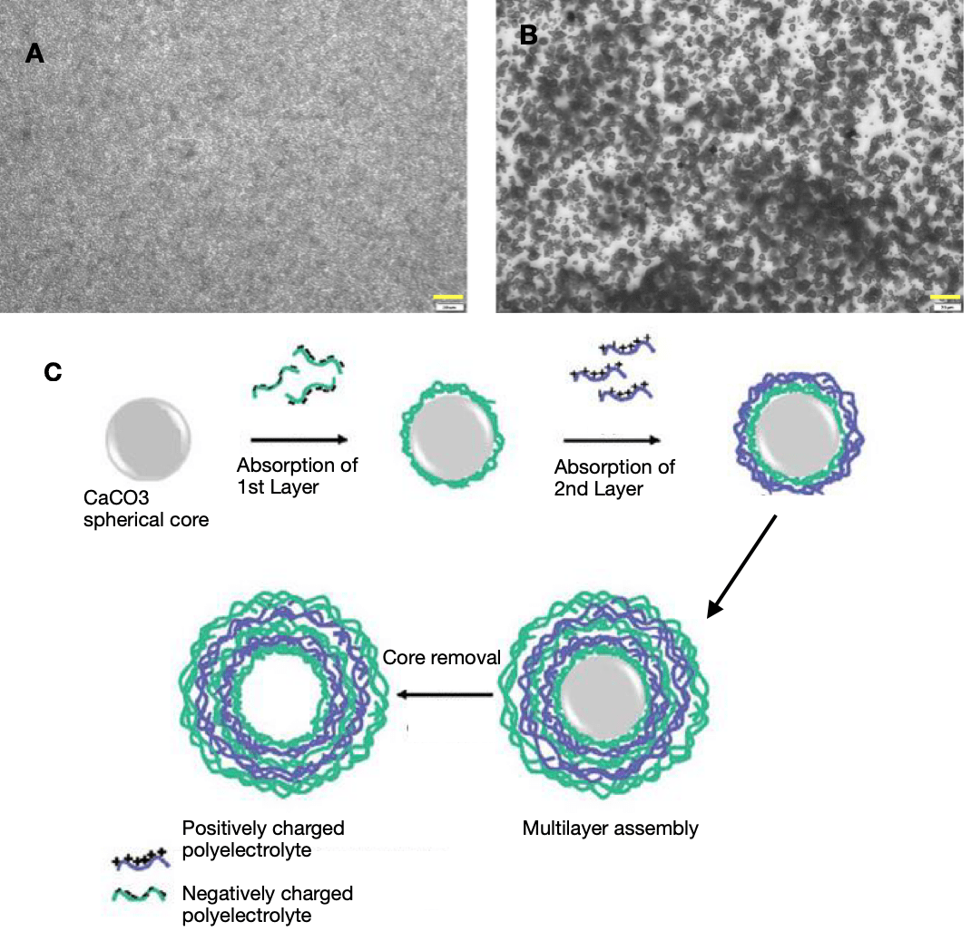 Polymeric layer-by-layer microcapsules containing iron oxide magnetic ...