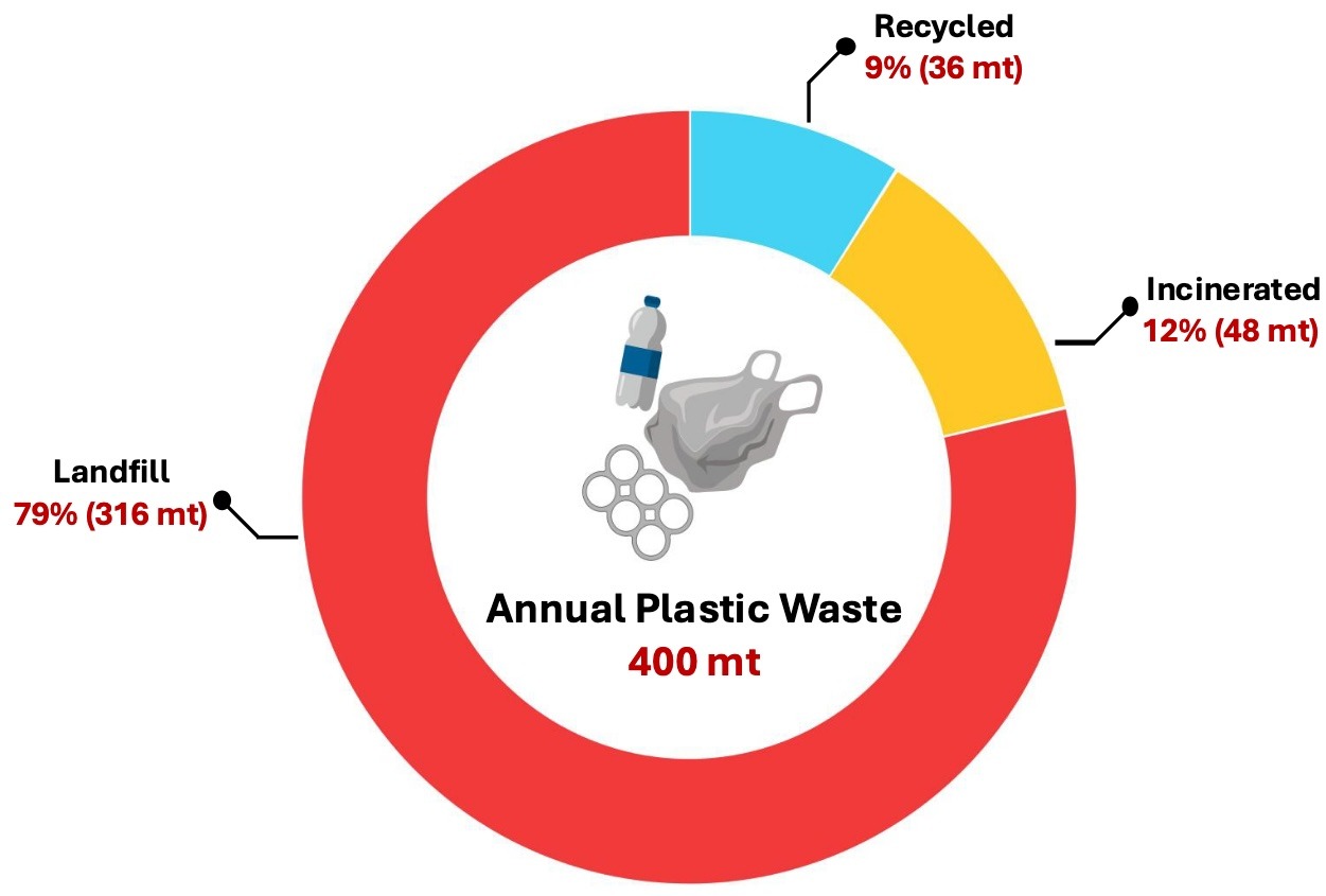 Potential of Tenebrio molitor and Zophobas morio in Plastic Degradation ...
