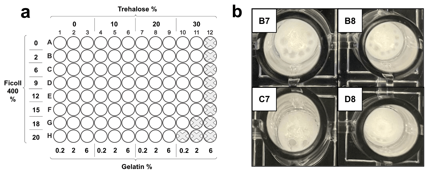 Manufacturing and Formulation Development of Lyophilized Crude Taq DNA ...